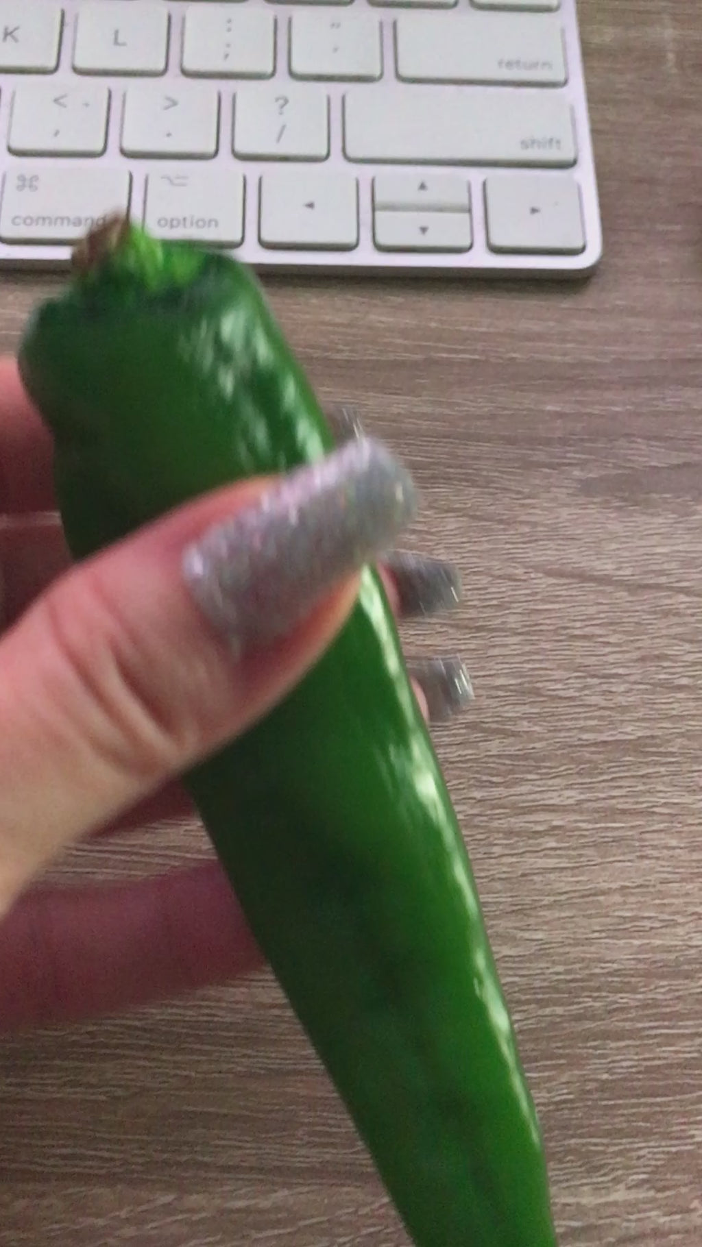 Chili Pepper Magnet Green – P FACTORY