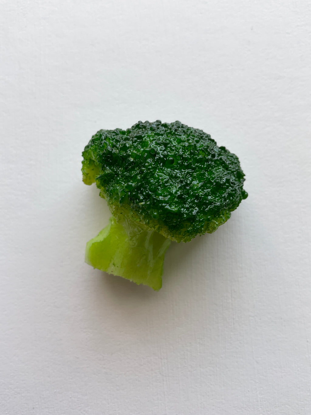Broccoli Magnet – P FACTORY