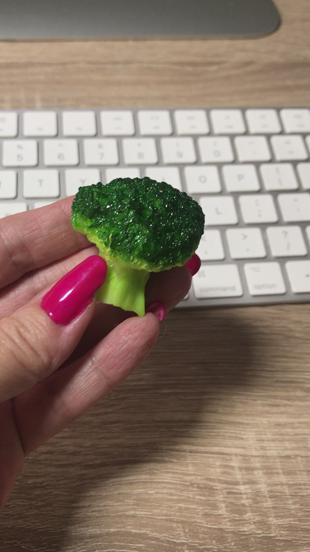 Broccoli Magnet – P FACTORY
